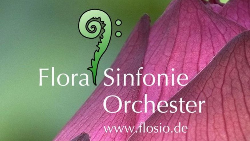 Sinfoniekonzert des Flora Sinfonie-Orchesters: Konzert unter freiem Himmel - Rossini, Haydn ...